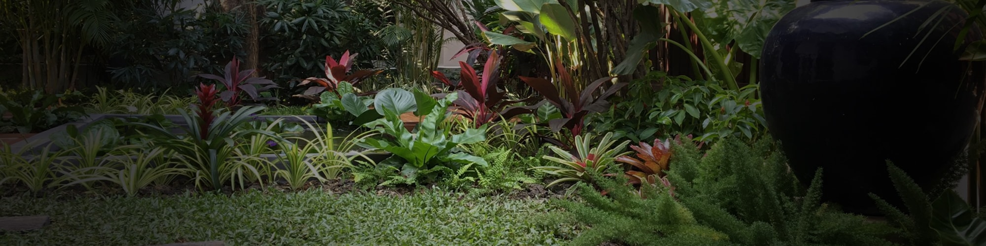 Meet the Team at Thai Garden Design - Thai Garden Design - The Thai ...