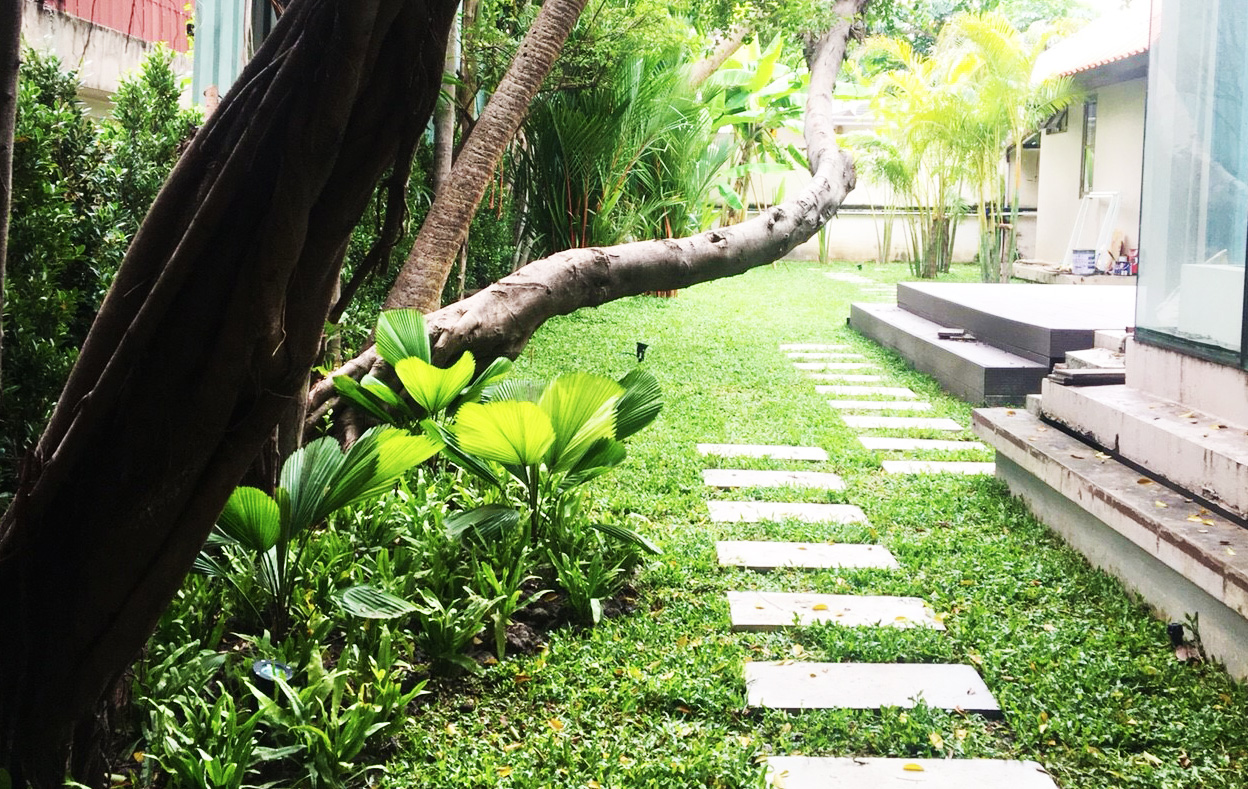 amazing gardens bangkok - Thai Garden Design