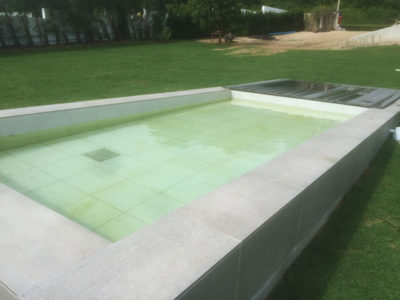 Mini Pool for Dogs in Hua Hin - Thai Garden Design