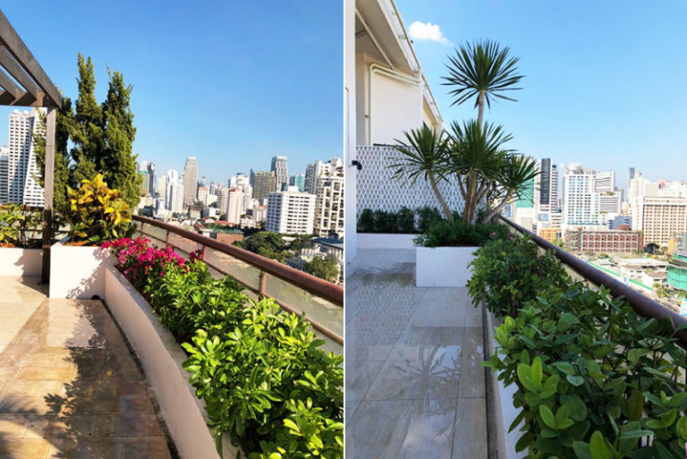 Modern Tropical Designs for Bangkok Balconies - Thai Garden Design