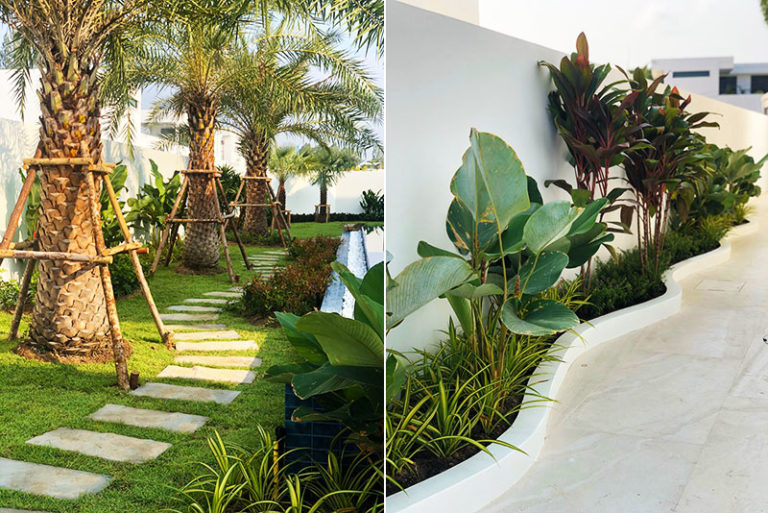 Thai Garden Design Ongoing Projects - The Thai Landscaping Experts