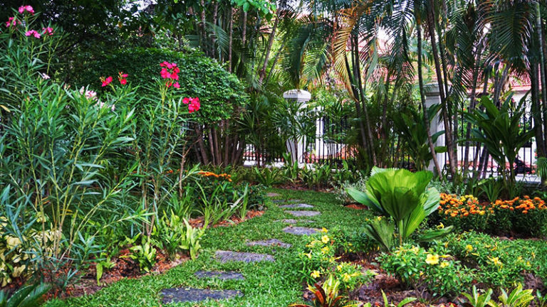 Jungle Style Landscaped Garden at Riverside, Bangkok Transformation
