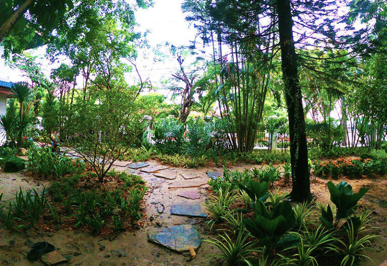 Jungle Style Landscaped Garden at Riverside, Bangkok Transformation