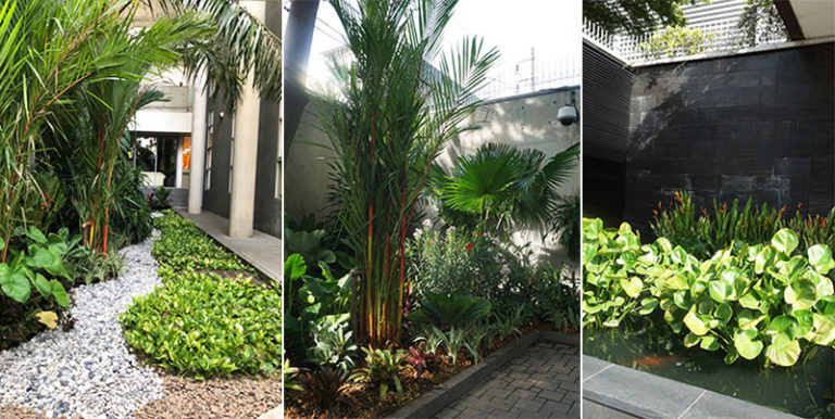 Thai Garden Design Ongoing Projects - The Thai Landscaping Experts