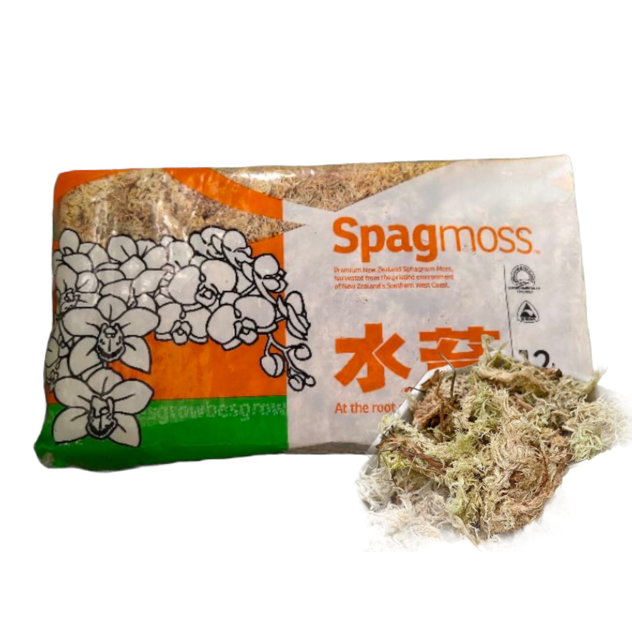 Spag Moss - Thai Garden Design