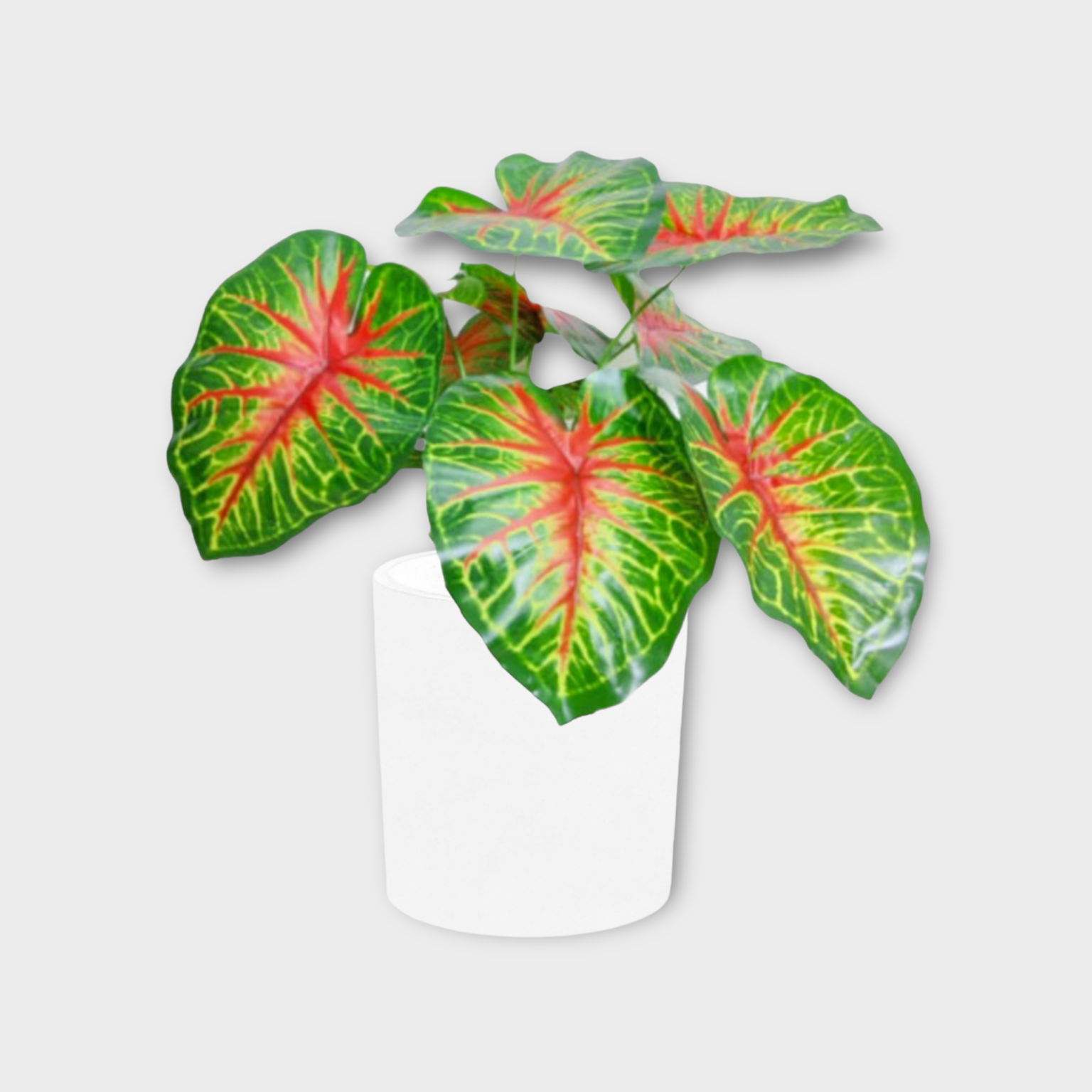 Artificial Heart Of Jesus Plant Thai Garden Design Artificial Heart Of Jesus Plant Thai Garden Design