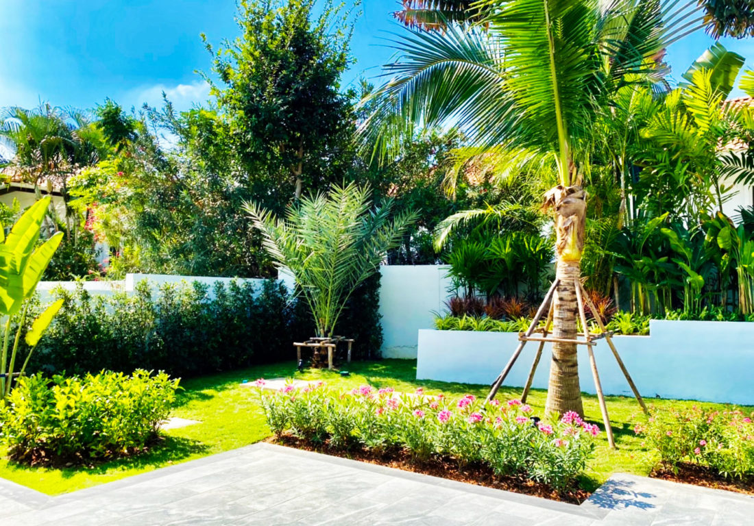 planting tropical designs - Thai Garden Design