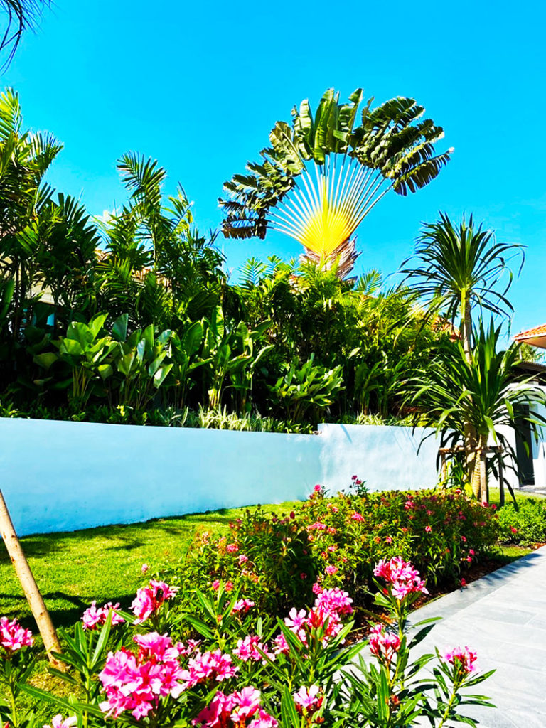 landscape designer hua hin - Thai Garden Design